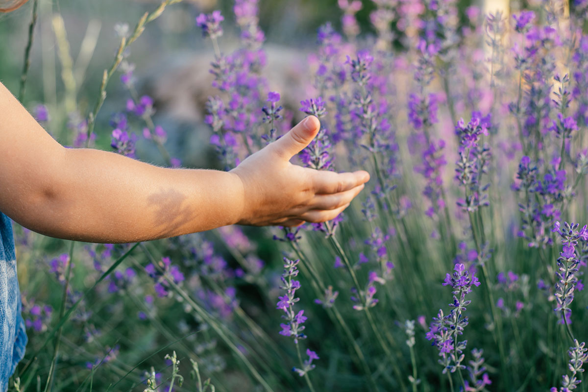 Staying Calm to Help a Child Regain Their Calm - Raising Relatives